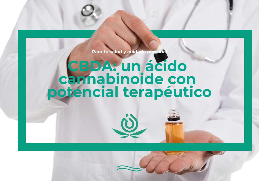 CBDA : un acide cannabinoïde au potentiel thérapeutique | Higea CBD