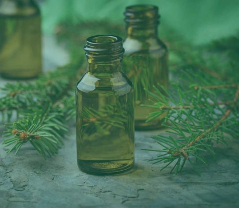 ¿Qué es el pineno y sus propiedades? | Higea CBD