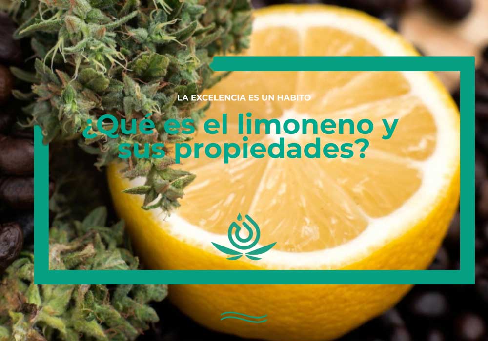 O que é limonena e suas propriedades? | Higea CBD